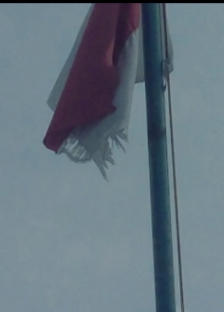 Bendera Merah Putih Lusuh Robek Berkibar di Depan Kantor Pos - Jari Lampung